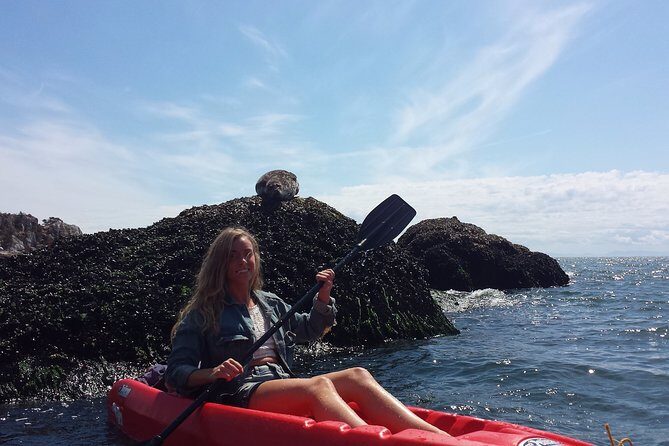 Morning Kayak & Seal Cruise - Introducing the Morning Kayak & Seal Cruise