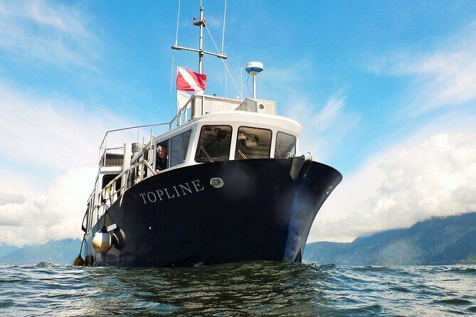 Morning Kayak & Seal Cruise - The Sum Up: Who Will Love This Tour?