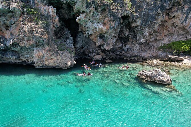 Morning Kayaking Tour to Little Bay - Key Points