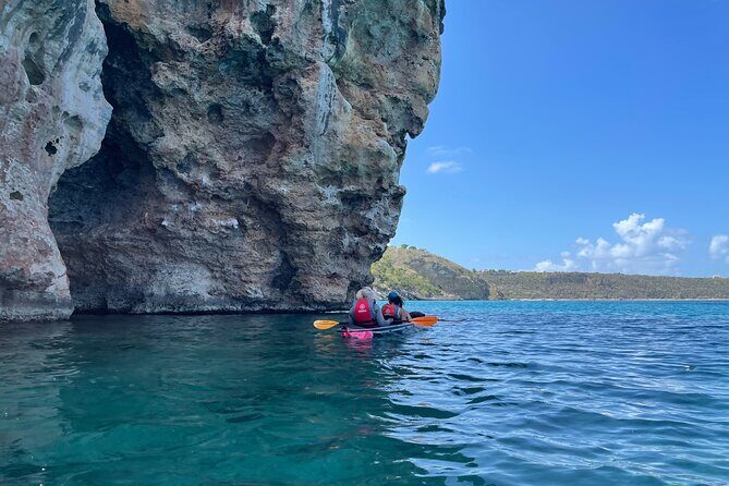 Morning Kayaking Tour to Little Bay - An In-Depth Review of the Little Bay Kayaking Tour