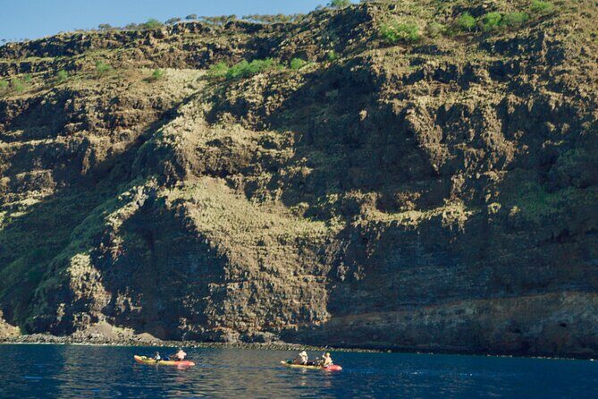 Morning Magic Kayak and Snorkel Adventure in Kealakekua Bay - Key Points