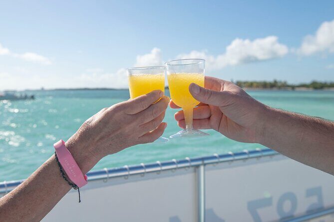 Morning Mimosa and Swim 2hr Luxury Cruise in Marathon FL - Analyzing the Value