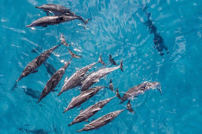 Morning Na Pali Adventure & Snorkel Tour (Hanalei Departure) - Why This Tour Stands Out