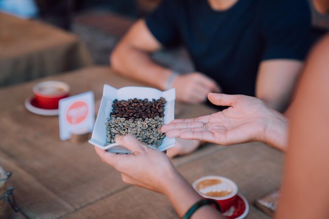 Morning Old San Juan Food Tour - Authentic Experiences: What Travelers Say