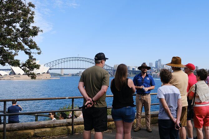 Morning or Afternoon Half-Day Sydney City Sightseeing Tour - A Deep Dive into the Tour Experience