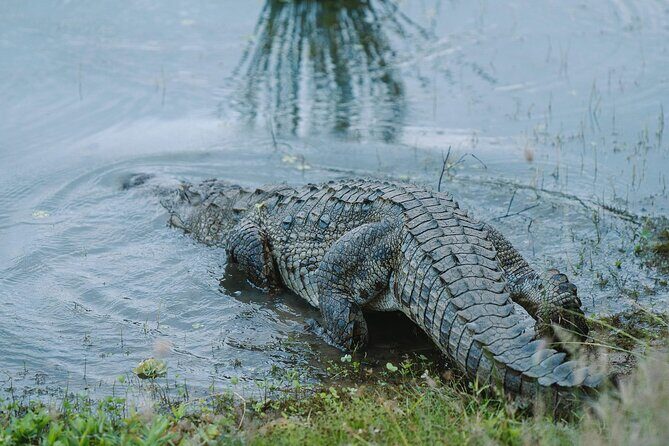 Morning Private Safari at Udawalawa National Park by La Safari inn Tours - FAQ