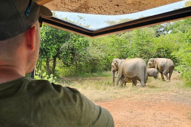Morning Private Safari at Udawalawa National Park by Yala La Safari Tours - Introduction