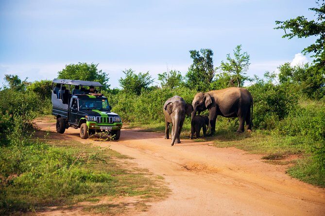 Morning Private Safari at Udawalawa National Park by Yala La Safari Tours - Frequently Asked Questions