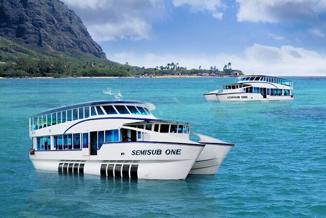 Morning Semisub Reef Cruise - Authentic Feedback and Insights from Reviews