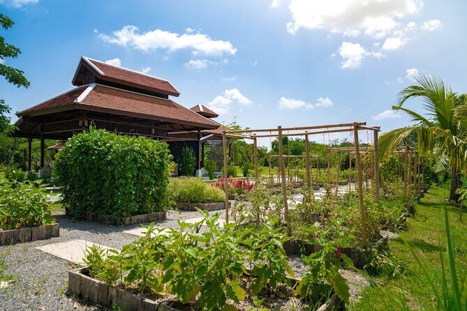 Morning Session - Thai Cooking Class in Traditional Pavilion with Beautiful Farm - Practical Details & Recommendations