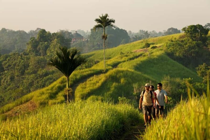 Morning Sidemen Rice Paddies Trekking  Balinese Massage - What to Expect: Exploring Bali’s Hidden Village