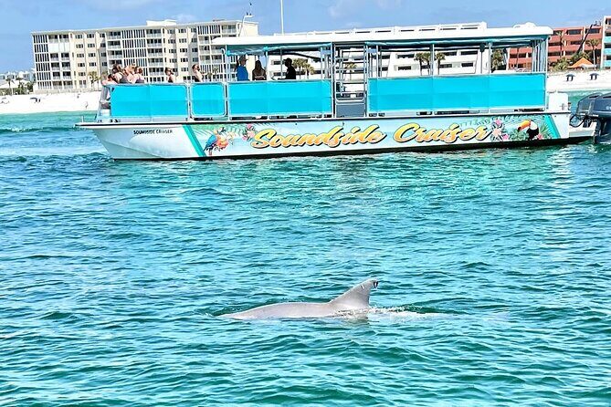 Morning Snorkel & Dolphin Adventure - An In-Depth Look at the Soundside Cruiser Experience