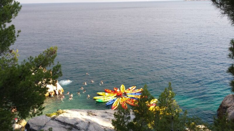 Morning Split Sea Kayaking Tour - What Makes This Tour Stand Out?