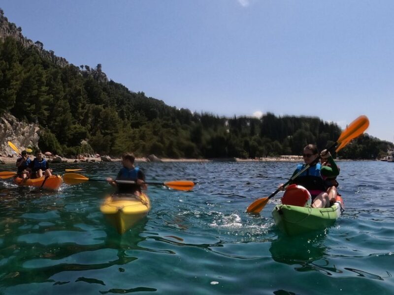 Morning Split Sea Kayaking Tour - Final Thoughts