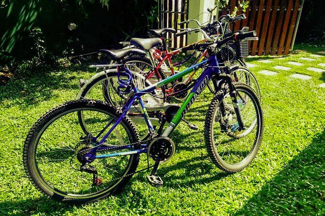 Morning Sports Cycling from Galle - Who Will Love This Tour?