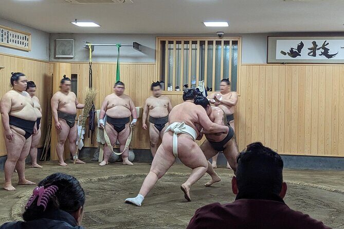 Morning Sumo Practice Viewing in Tokyo - Practical Details and What You Should Know