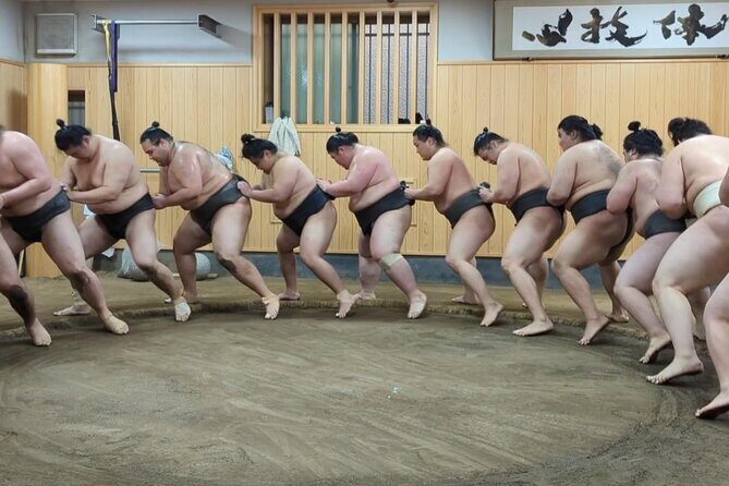 Morning Sumo Practice Viewing in Tokyo - The Sum Up