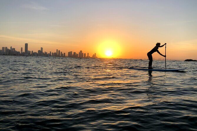 MORNING TOUR PaddleBoard or kayak - The Sum Up: Is It Worth It?