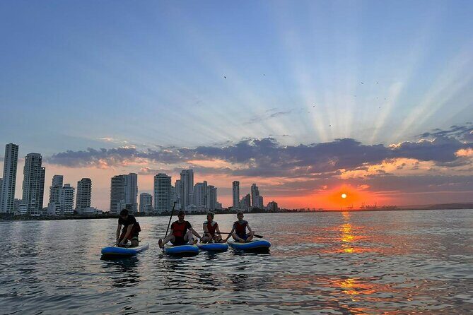 MORNING TOUR PaddleBoard or kayak - Frequently Asked Questions