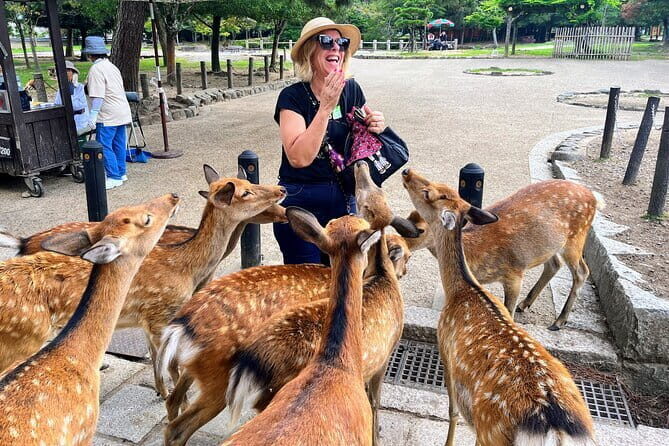 Morning Wonder World Heritage Nara Guided Tour - Nandaimon Gate and Todaiji Temple: Walking Into Japan’s Cultural Heart