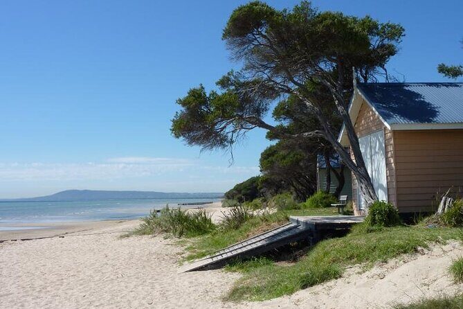 Mornington Peninsula Coastal Discovery Tour from Melbourne - Scenic Drive and First Stop: Arthurs Seat