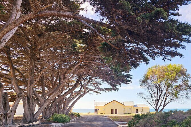 Mornington Peninsula Coastal Discovery Tour from Melbourne - Sorrento: A Coastal Classic