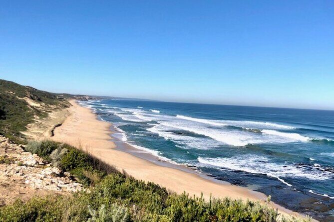 Mornington Peninsula Day Tour. Your Day Your Way. Your group only - Authentic Experiences Highlighted by Reviewers