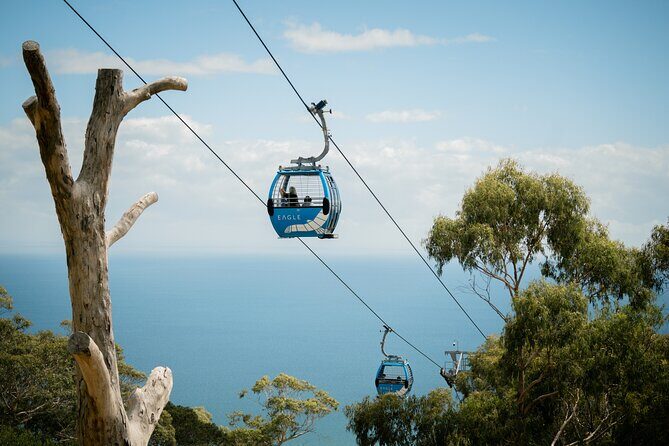 Mornington Peninsula Food and Wine Tour - FAQ
