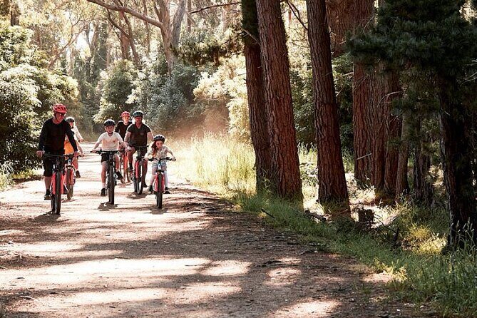Mornington Peninsula guided e-bike tour - Key Points