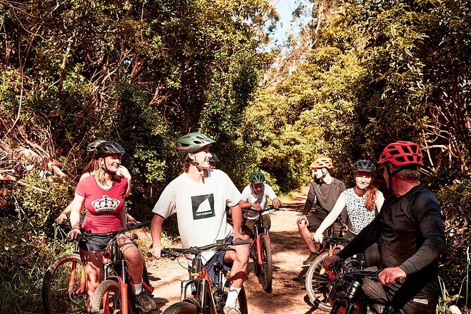Mornington Peninsula guided e-bike tour - The Experience in Detail: A Step-by-Step Breakdown