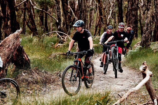 Mornington Peninsula guided e-bike tour - Who Will Love This Tour?