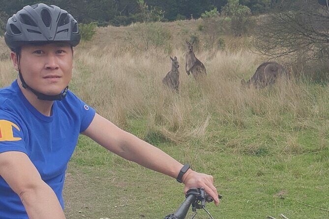 Mornington Peninsula guided e-bike tour - The Sum Up