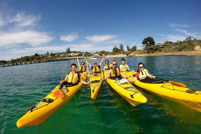 Mornington Peninsula Kayak Coastline Tour of Dolphin Sanctuary - Introduction: What’s the Experience All About?