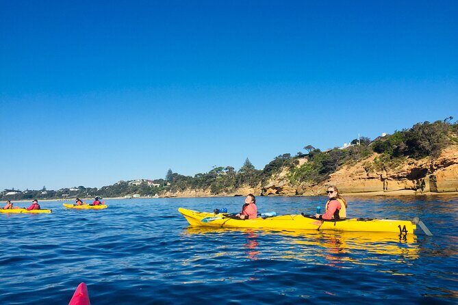Mornington Peninsula Kayak Coastline Tour of Dolphin Sanctuary - Practical Tips for Participants