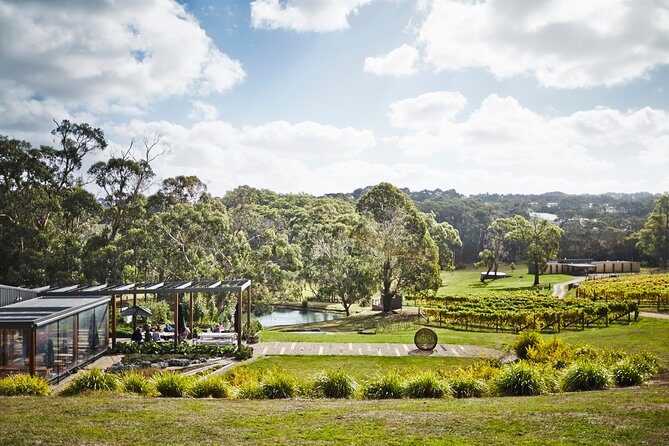 Mornington Peninsula Luxury Lunch, Wine Tasting & Pt Leo Art Walk - What Travelers Are Saying