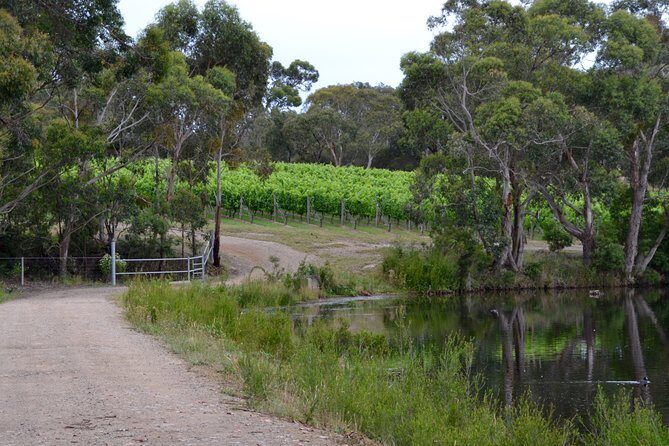 Mornington Peninsula Private Car Winery Tour.1-7 People One Car Price. - Key Points