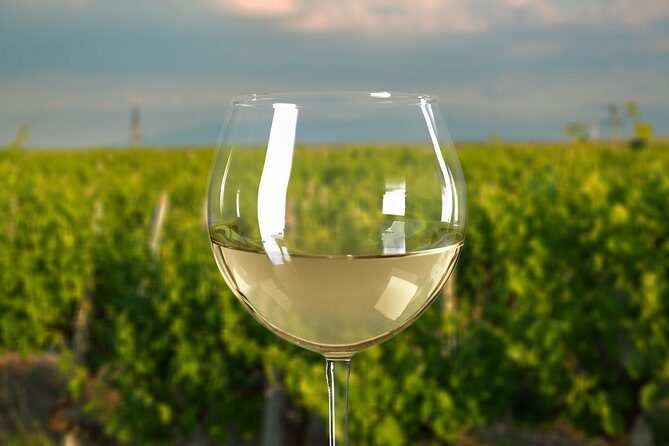 Mornington Peninsula Private Car Winery Tour.1-7 People One Car Price. - The Experience: What Makes It Stand Out