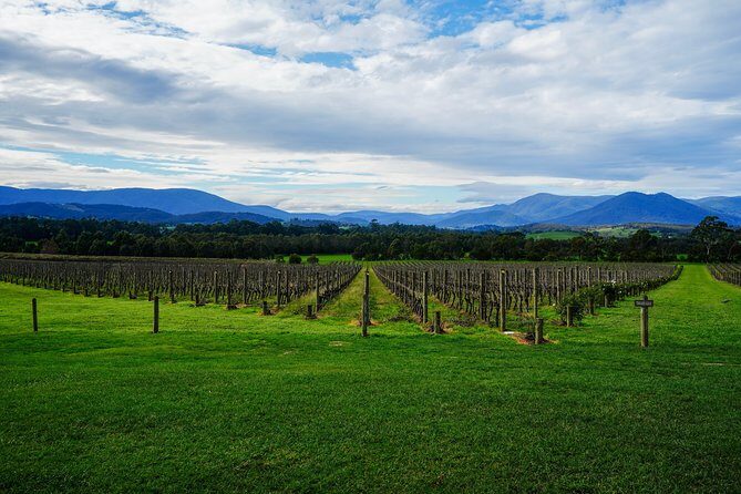 Mornington Peninsula Private Car Winery Tour.1-7 People One Car Price. - Who Should Book This Tour?