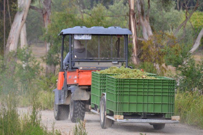 Mornington Peninsula Private Car Winery Tour.1-7 People One Car Price. - Final Thoughts
