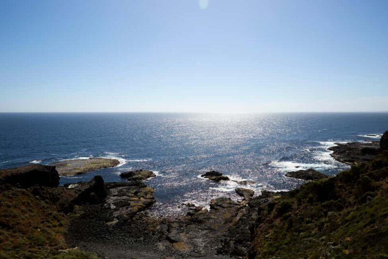 Mornington Peninsula Private Day Tour - Who Should Consider This Tour?