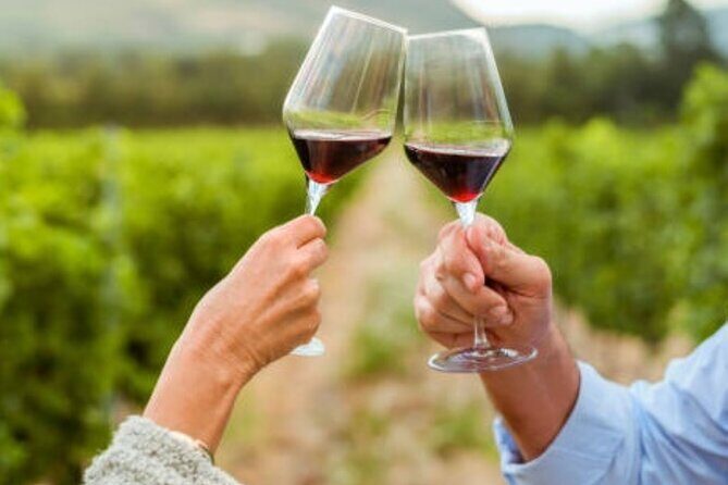Mornington Peninsula Private Wine Tour. Your day. Your Way. - Practical Considerations