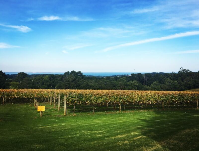 Mornington Peninsula Scenic Bus Tour with Chairlift & Lunch - Key Points