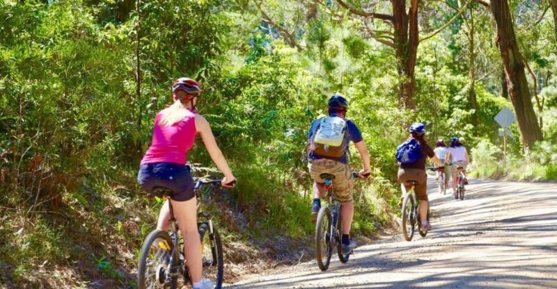 Mornington Peninsula: Self Guided Food & Wine Cycle Tour - Introduction to the Experience