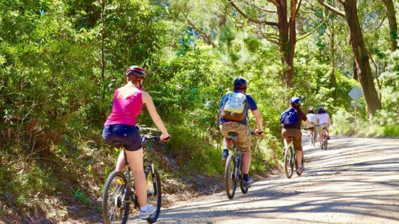 Mornington Peninsula: Self Guided Food & Wine Cycle Tour - Final Thoughts on Value and Suitability