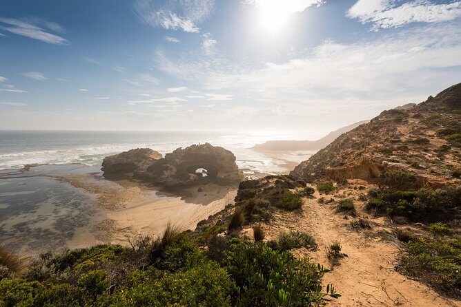 Mornington Peninsula Sightseeing and Bay Cruise - Key Points