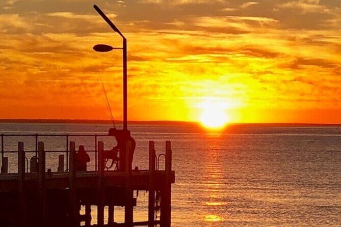Mornington Peninsula Sightseeing and Bay Cruise - Highlights from the Reviews: Authentic Perspectives