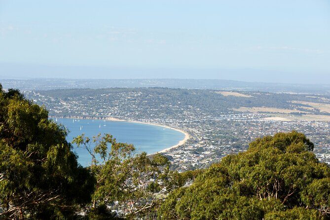 Mornington Peninsula Sightseeing and Bay Cruise - Practical Aspects: Transportation, Timing, Group Size, and Value