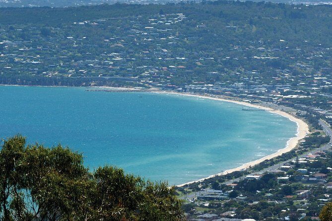 Mornington Peninsula Small Group Rare Hare or Merricks Wine Store - Who Should Consider This Tour?