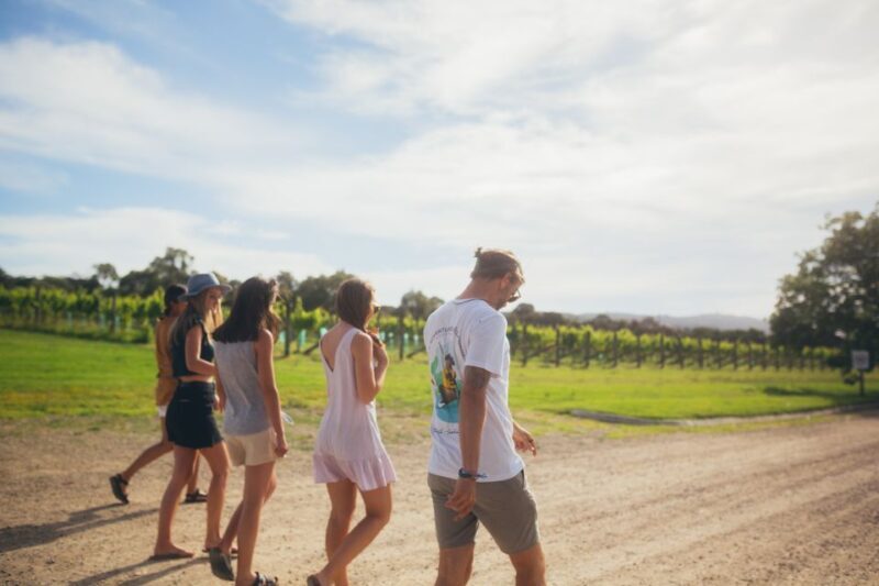 Mornington Peninsula: SUP, Hike, & Hot Springs Trip w/ Lunch - Exploring the Mornington Peninsula: An Authentic Adventure