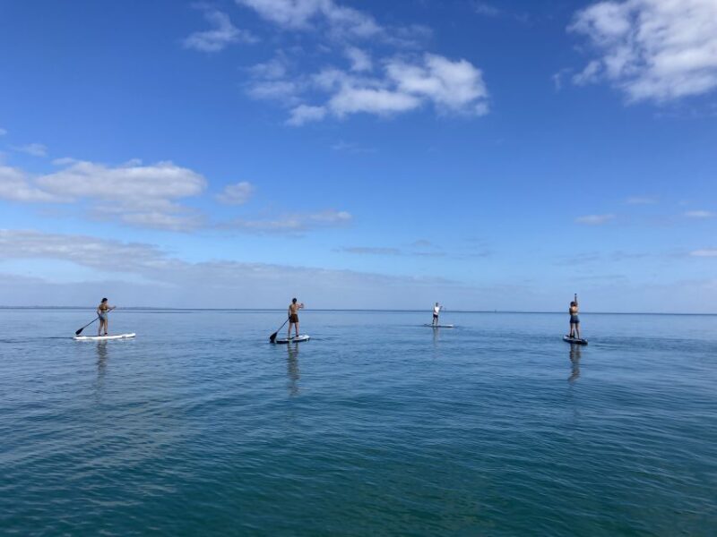 Mornington Peninsula: SUP, Hike, & Hot Springs Trip w/ Lunch - Authentic Experiences and Review Insights